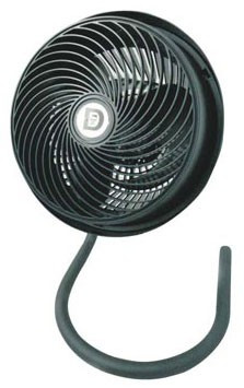 CITC DIRECTOR Fan